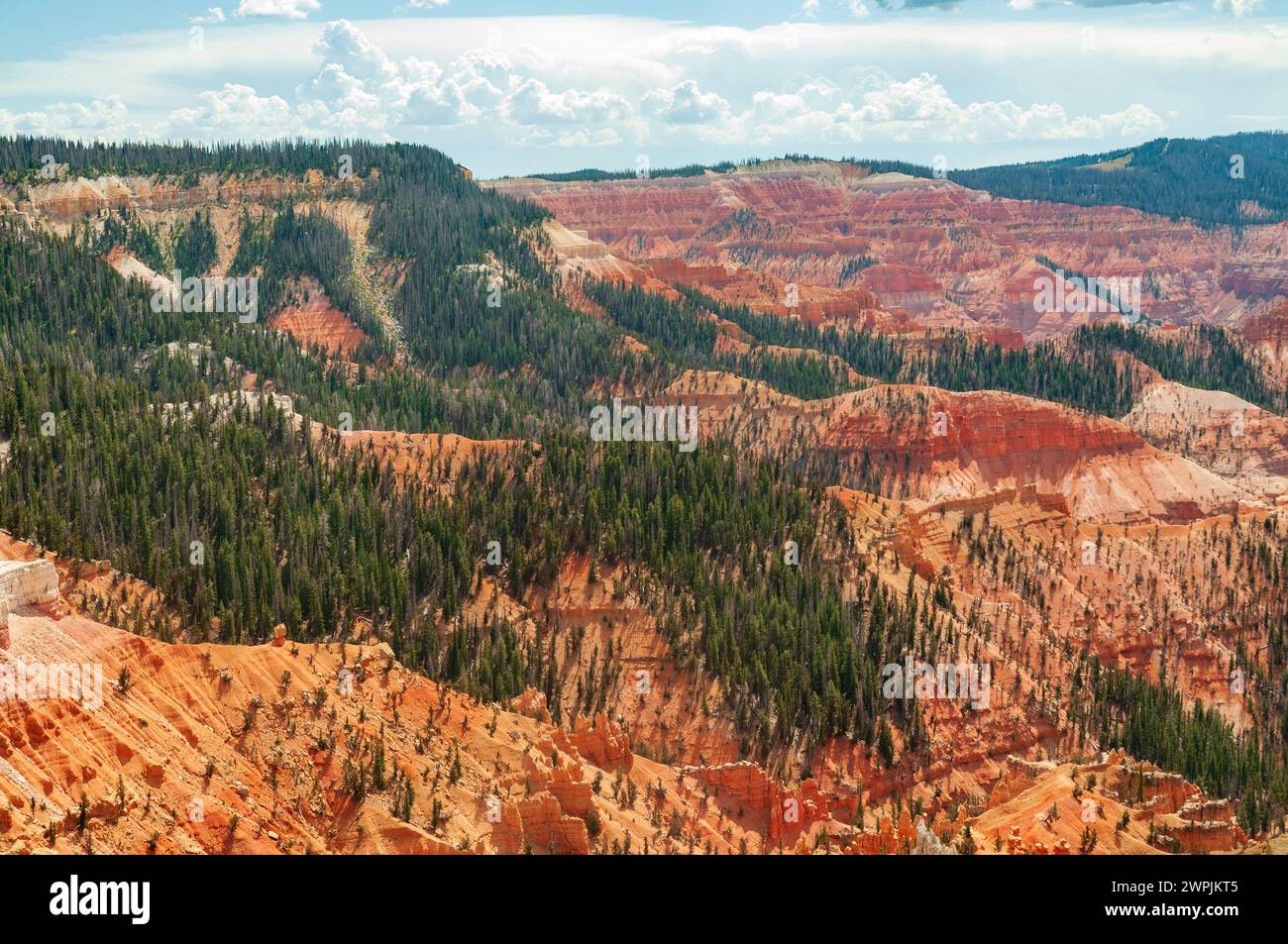 Cedar Breaks National Monument, natural amphitheater in Utah, USA Stock ...