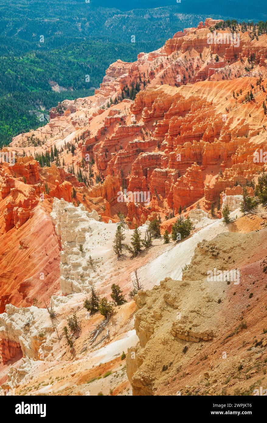Cedar Breaks National Monument, natural amphitheater in Utah, USA Stock ...