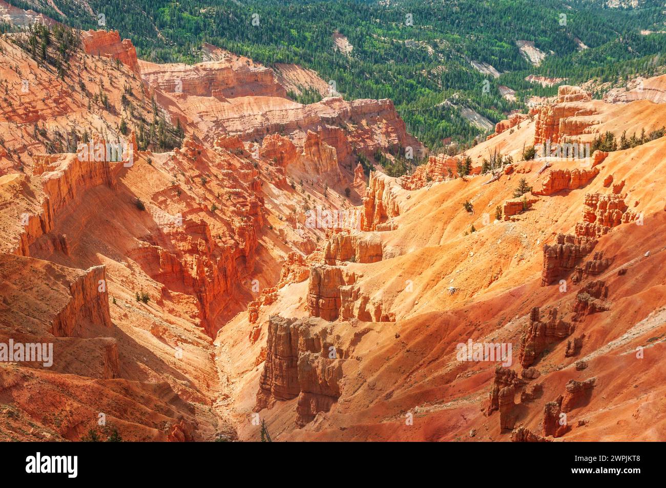 Cedar Breaks National Monument, natural amphitheater in Utah, USA Stock ...