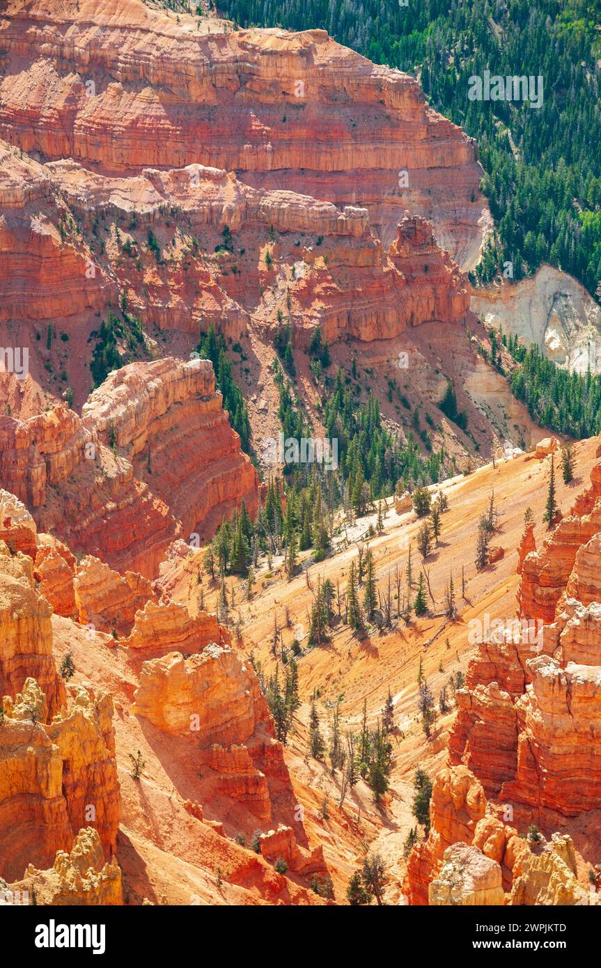 Cedar breaks trails hi-res stock photography and images - Alamy