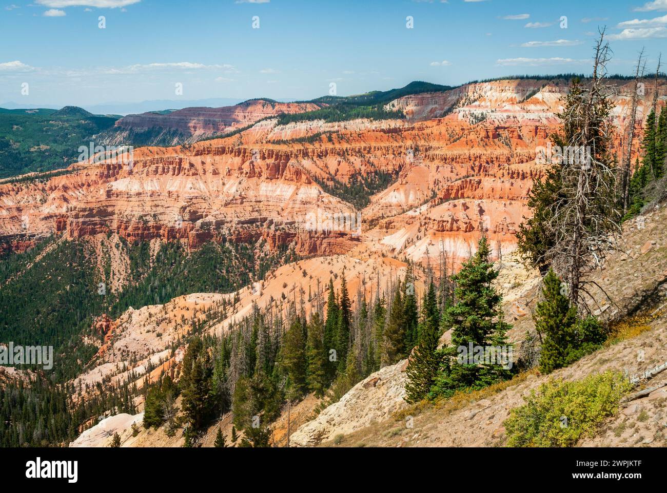 Cedar breaks trails hi-res stock photography and images - Alamy