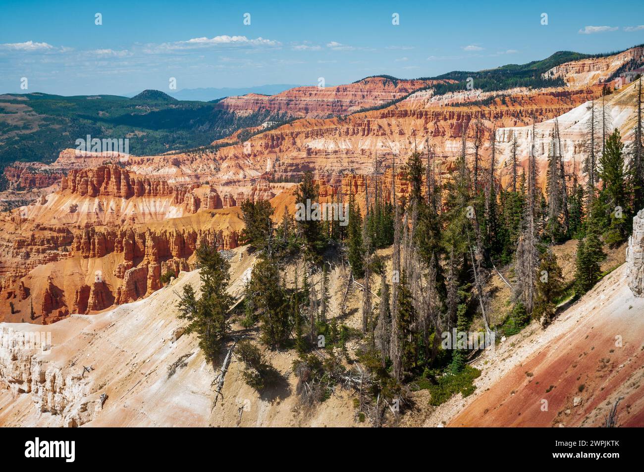 Cedar breaks trails hi-res stock photography and images - Alamy