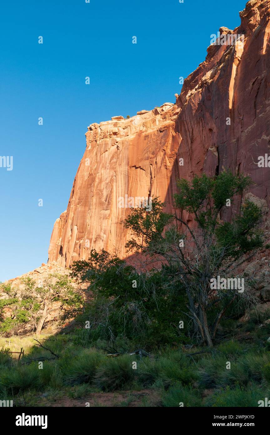 Plateaus and Orchards at Capitol Reef National Park in Utah, USA Stock ...