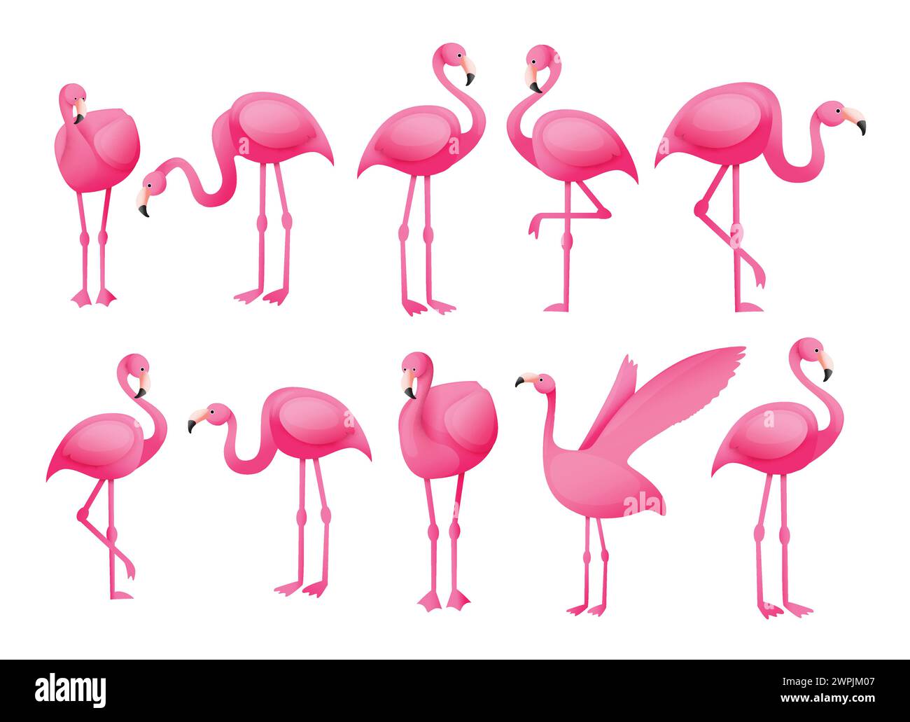 Summer flamingo bird vector set design. Summer pink flamingo bird in ...