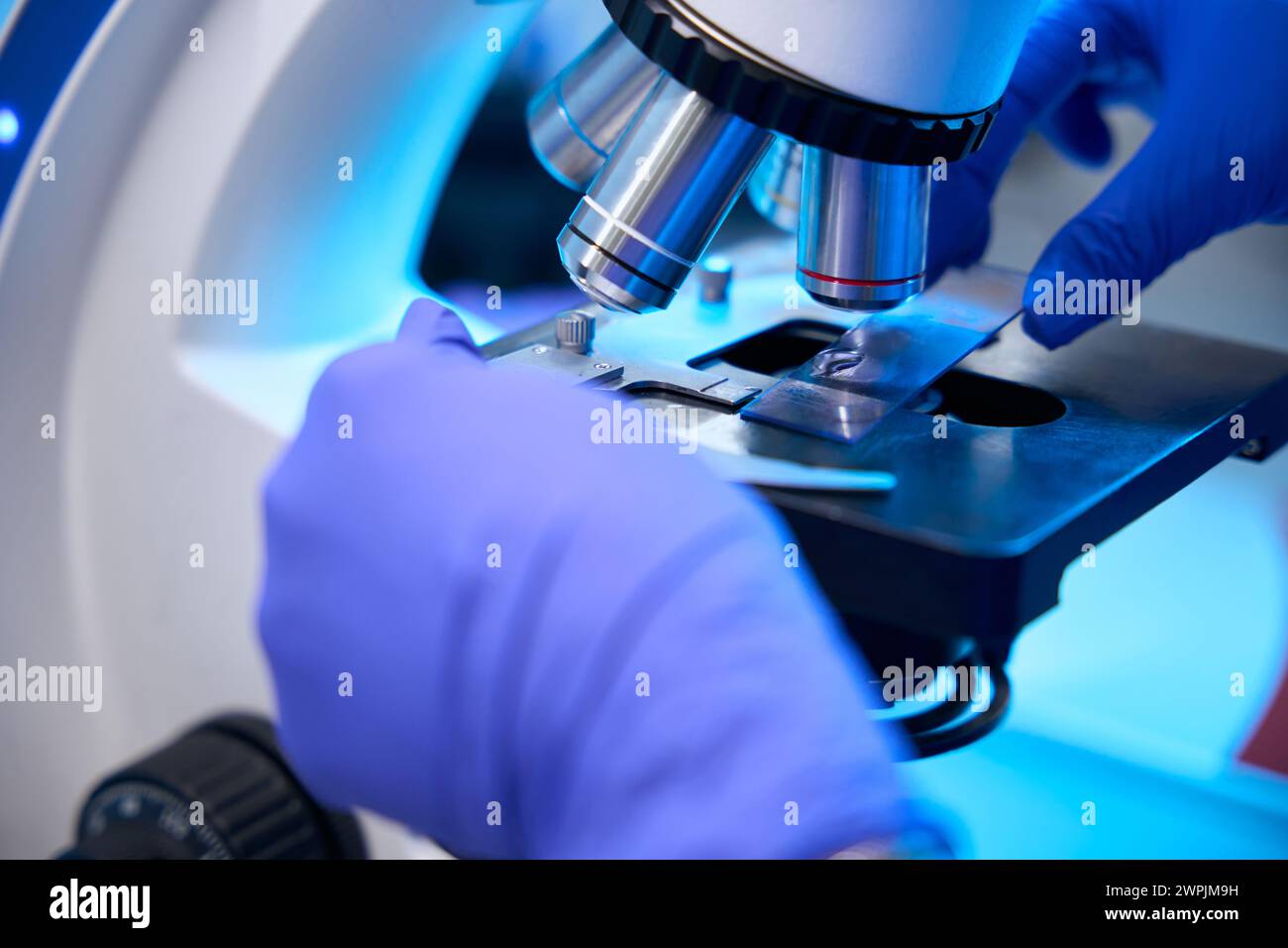 Laboratory technician works with biomaterial samples under a powerful ...