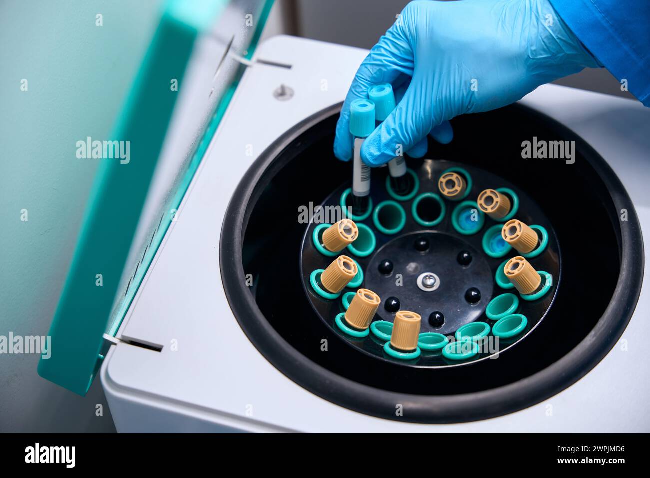 Laboratory worker places test tubes with biomaterial into special ...