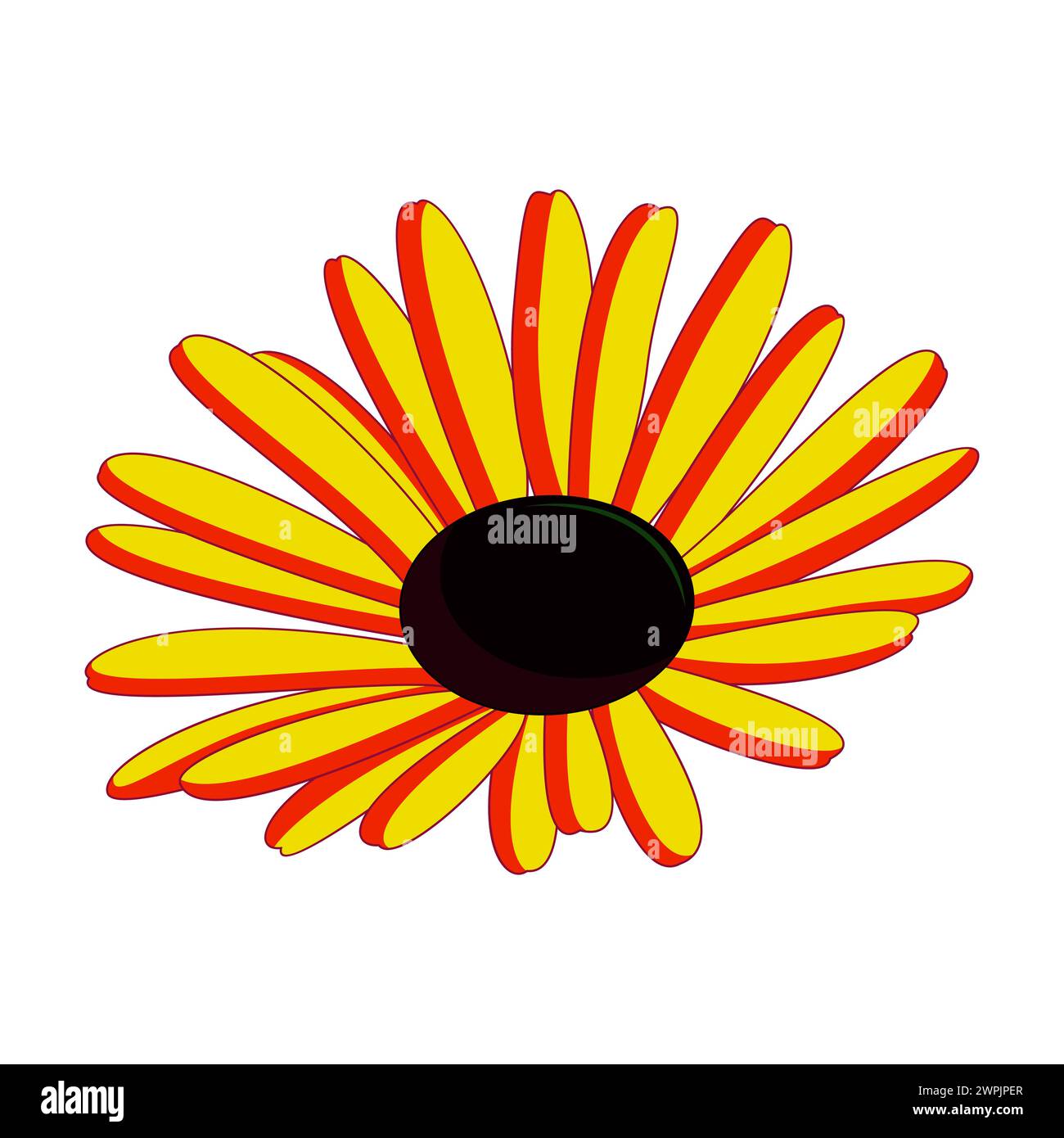 Vintage hand drawn sunflower Stock Vector Images - Alamy