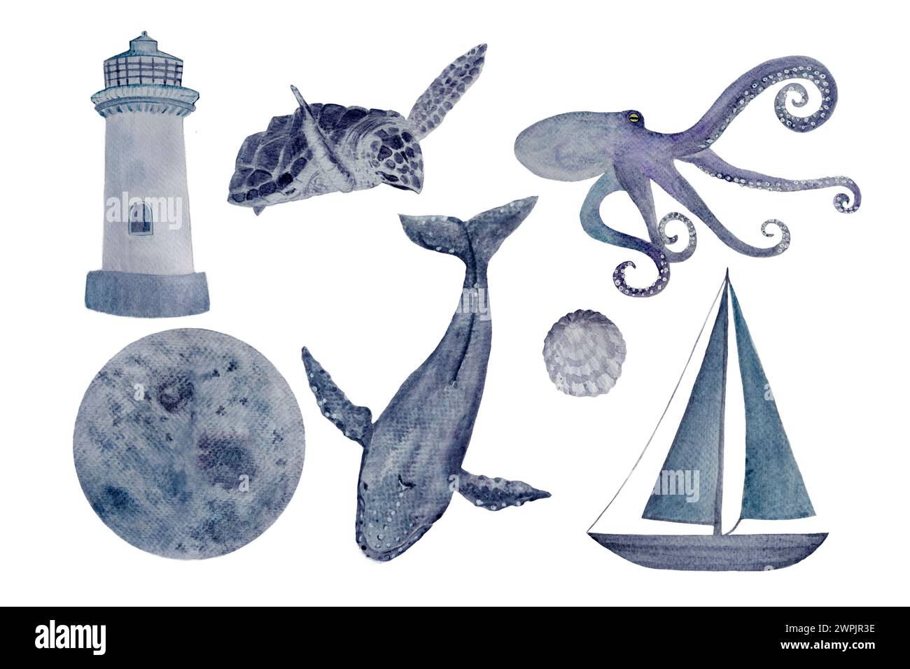 Watercolor hand-drawn humpback whale, an octopus, a turtle ,a moon ...