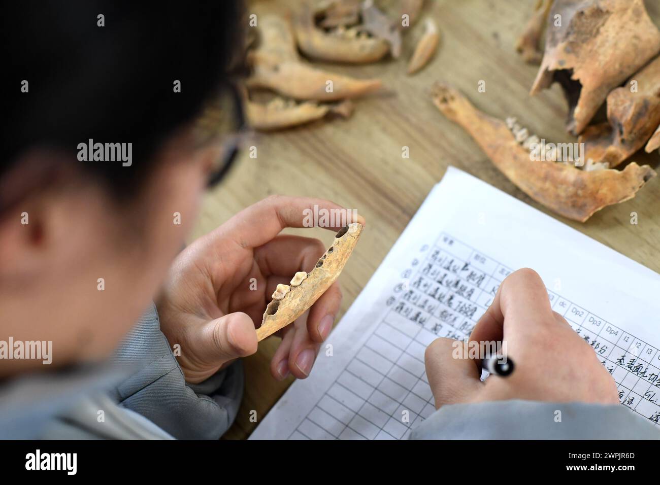 Xi'an, Xianyang in northwest China's Shaanxi Province. 5th Mar, 2024 ...
