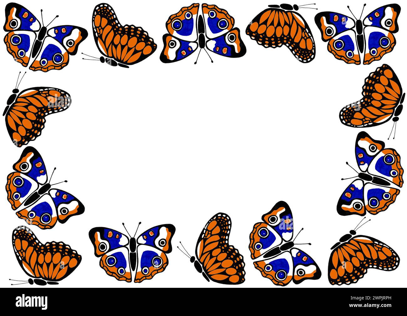 Horizontal frame of butterflies. Butterflies from above and in profile ...