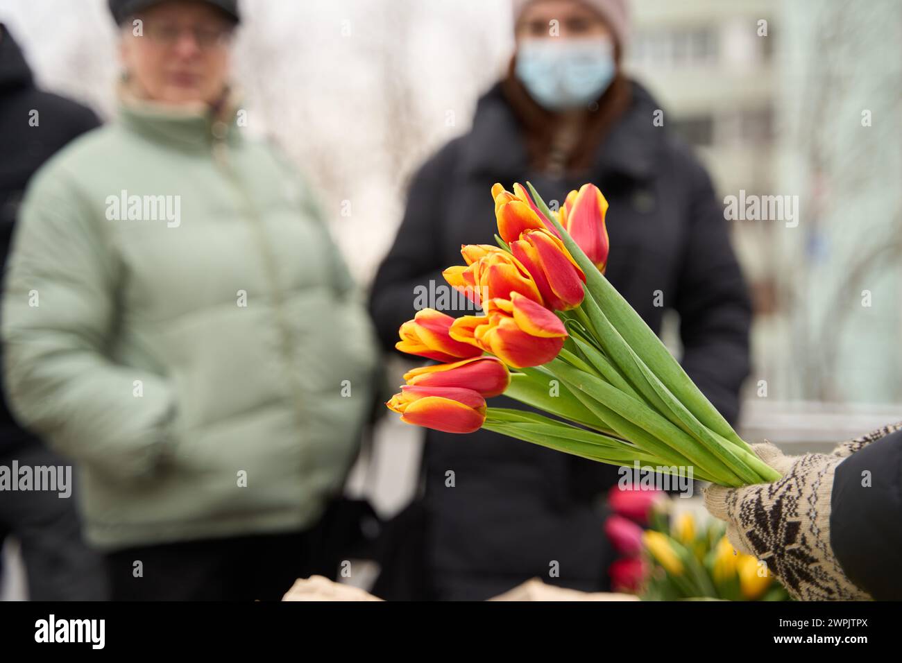 Vladivostok, Russia. 8th Mar, 2024. Tulips are pictured on a street in ...