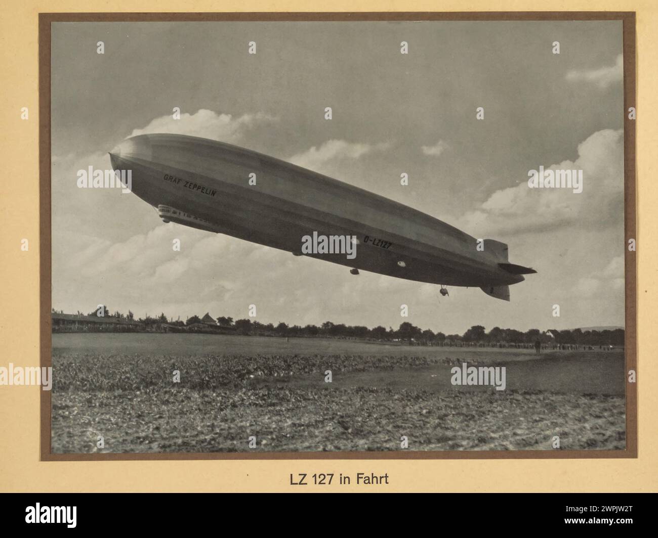 Goldbeaters skin hi-res stock photography and images - Alamy