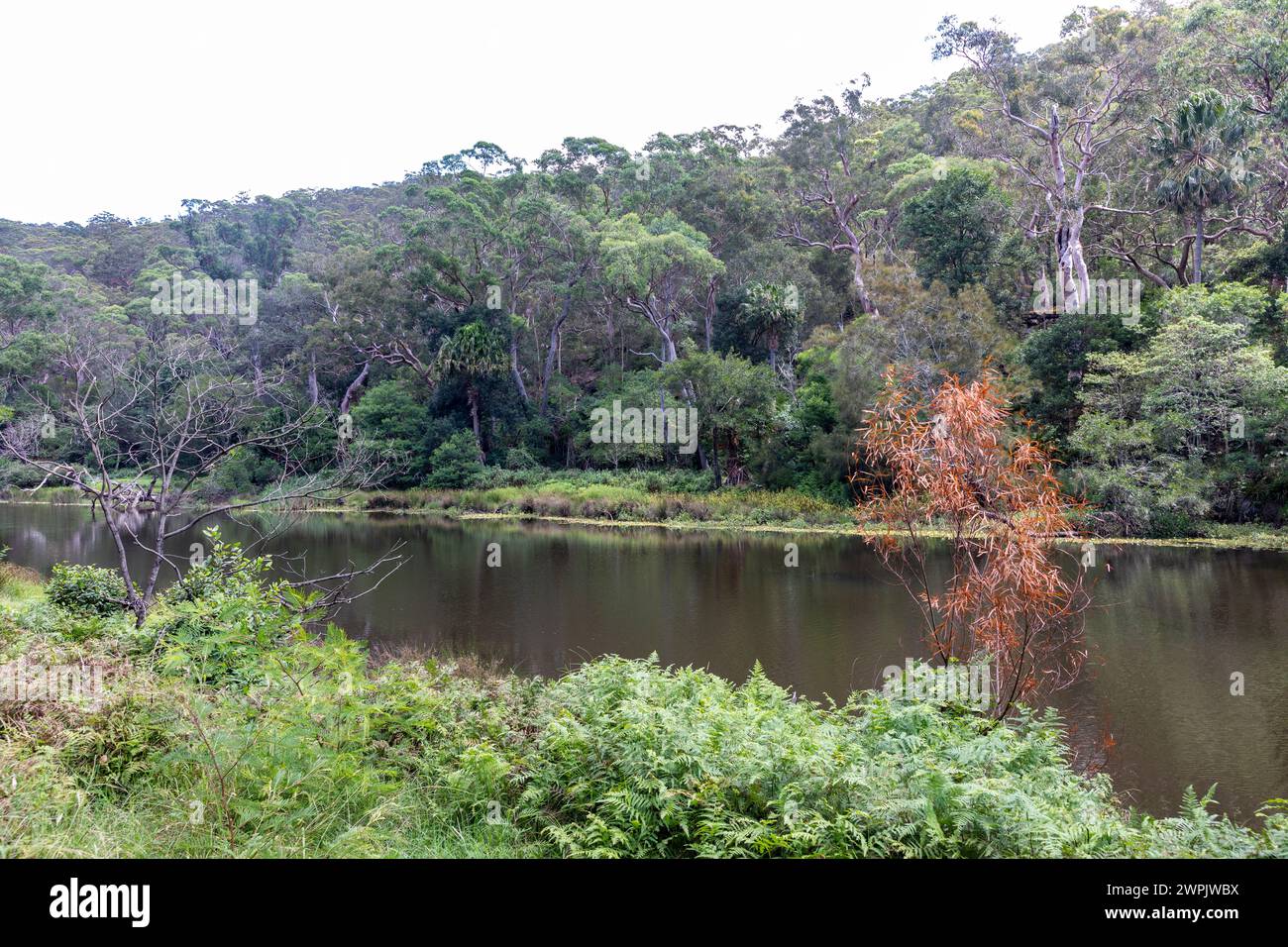 Port hacking river in the Royal National Park, near Audley village ...