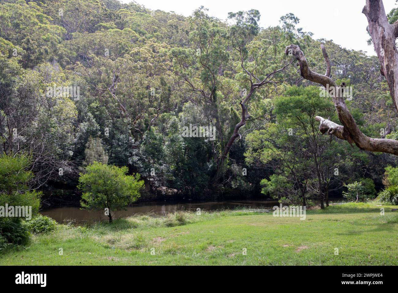 Port hacking river in the Royal National Park, near Audley village ...