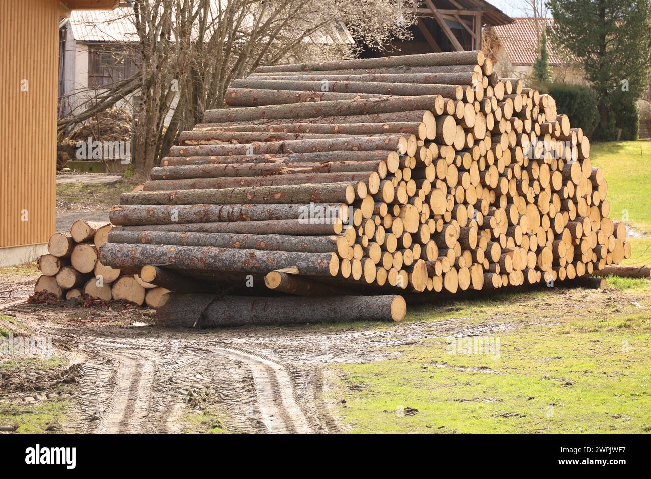 A pile of logs is stacked in a yard. The logs are of different sizes ...