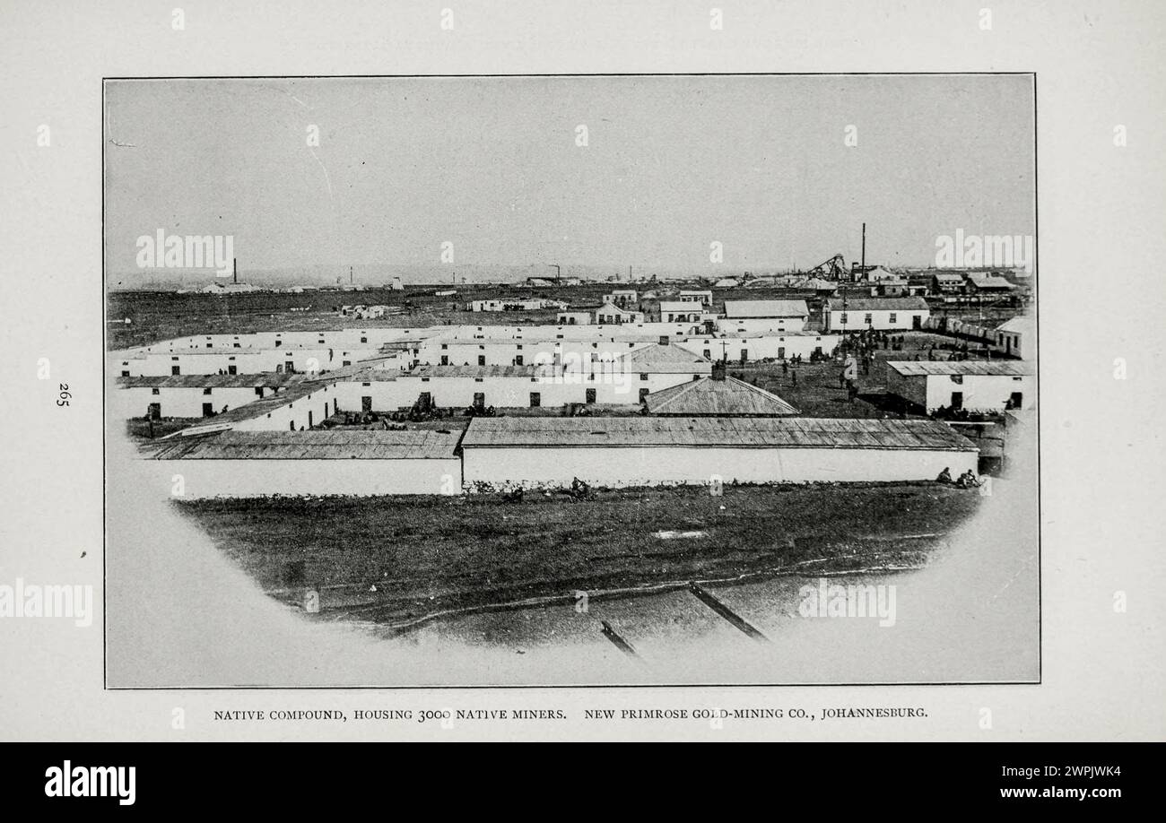 Native Compound, Housing 3000 Native miners. New Primrose Gold-Mining ...