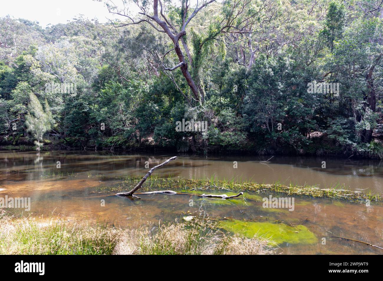 Royal National Park, Australia's first national park, with the Port ...