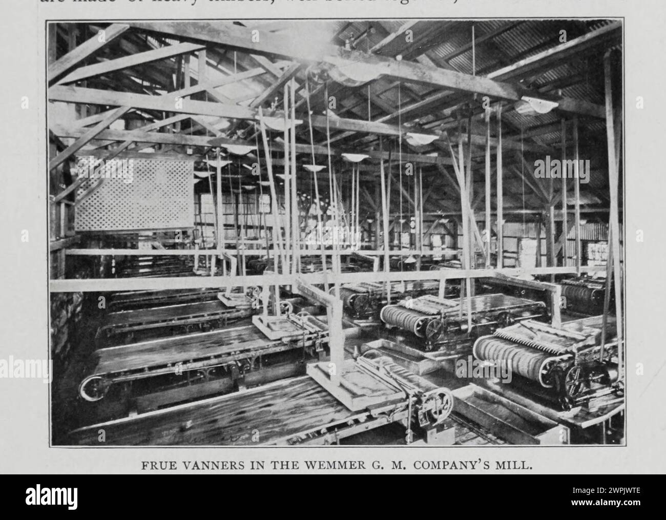 FRUE VANNERS IN THE WEMMER G. M. COMPANY'S MILL. from the Article ...