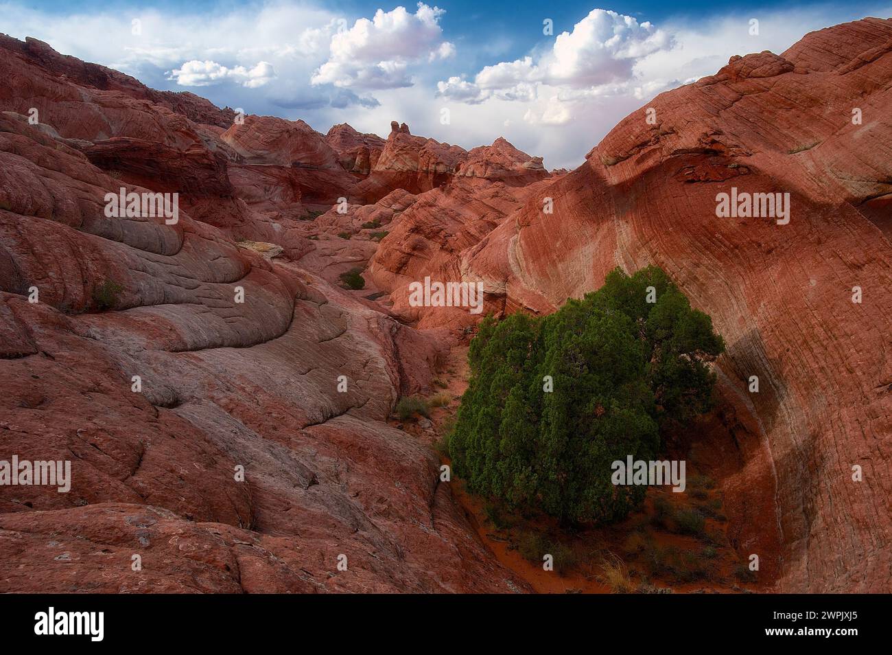 A captivating landscape of Navajo Buttes, Arizona Stock Photo - Alamy