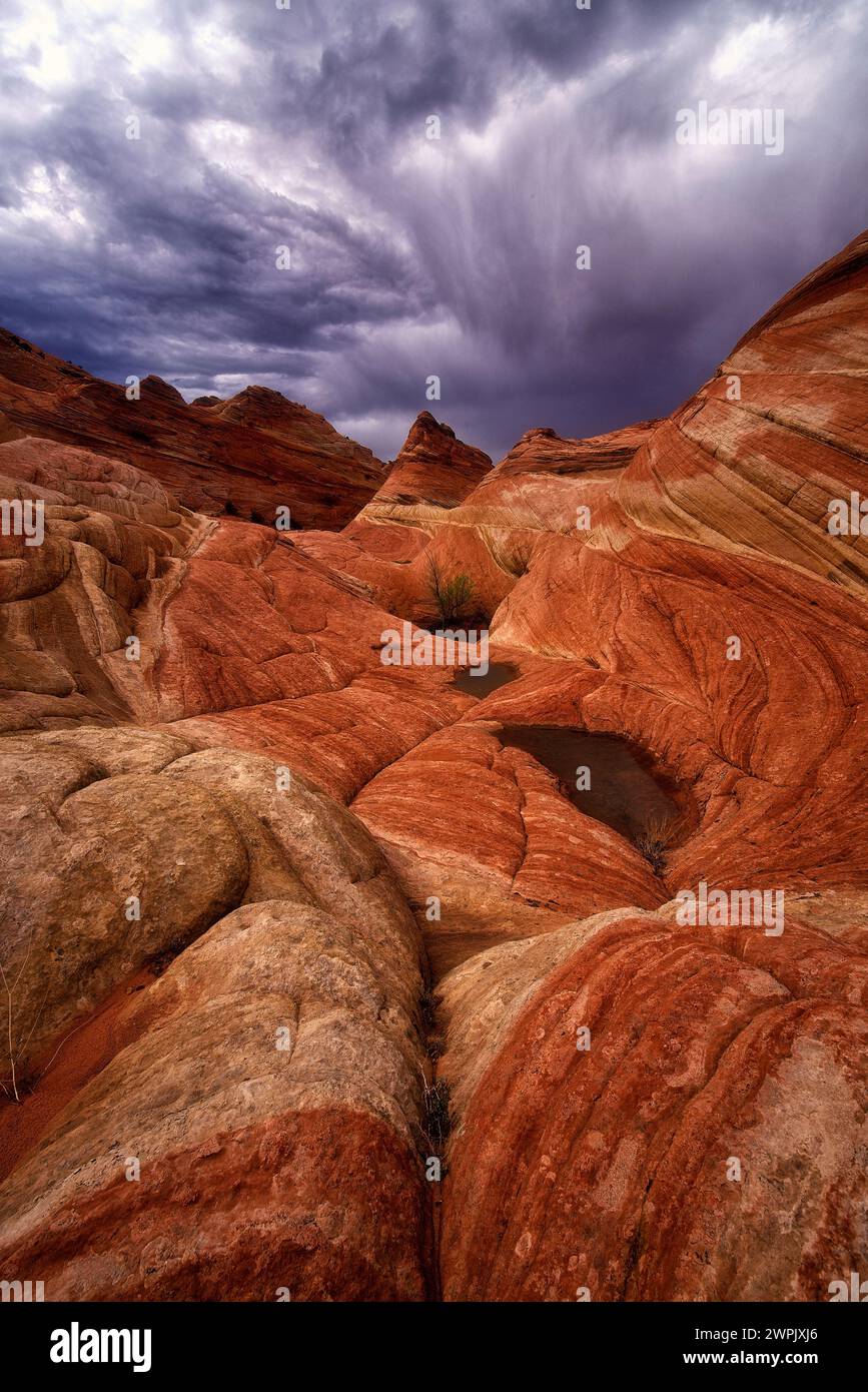 A captivating landscape of Navajo Buttes, Arizona Stock Photo - Alamy