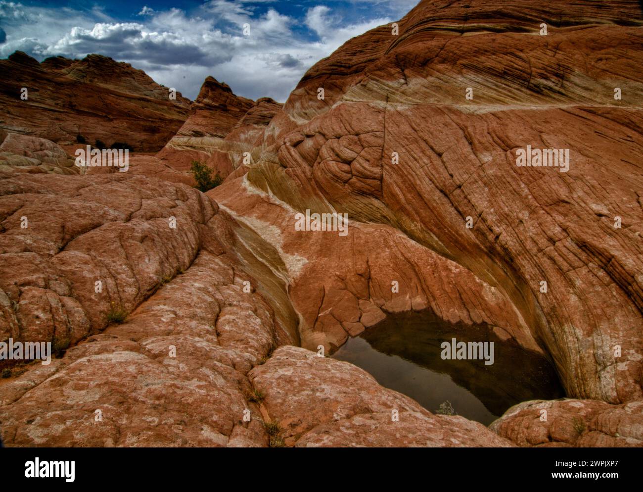 A captivating landscape of Navajo Buttes, Arizona Stock Photo - Alamy