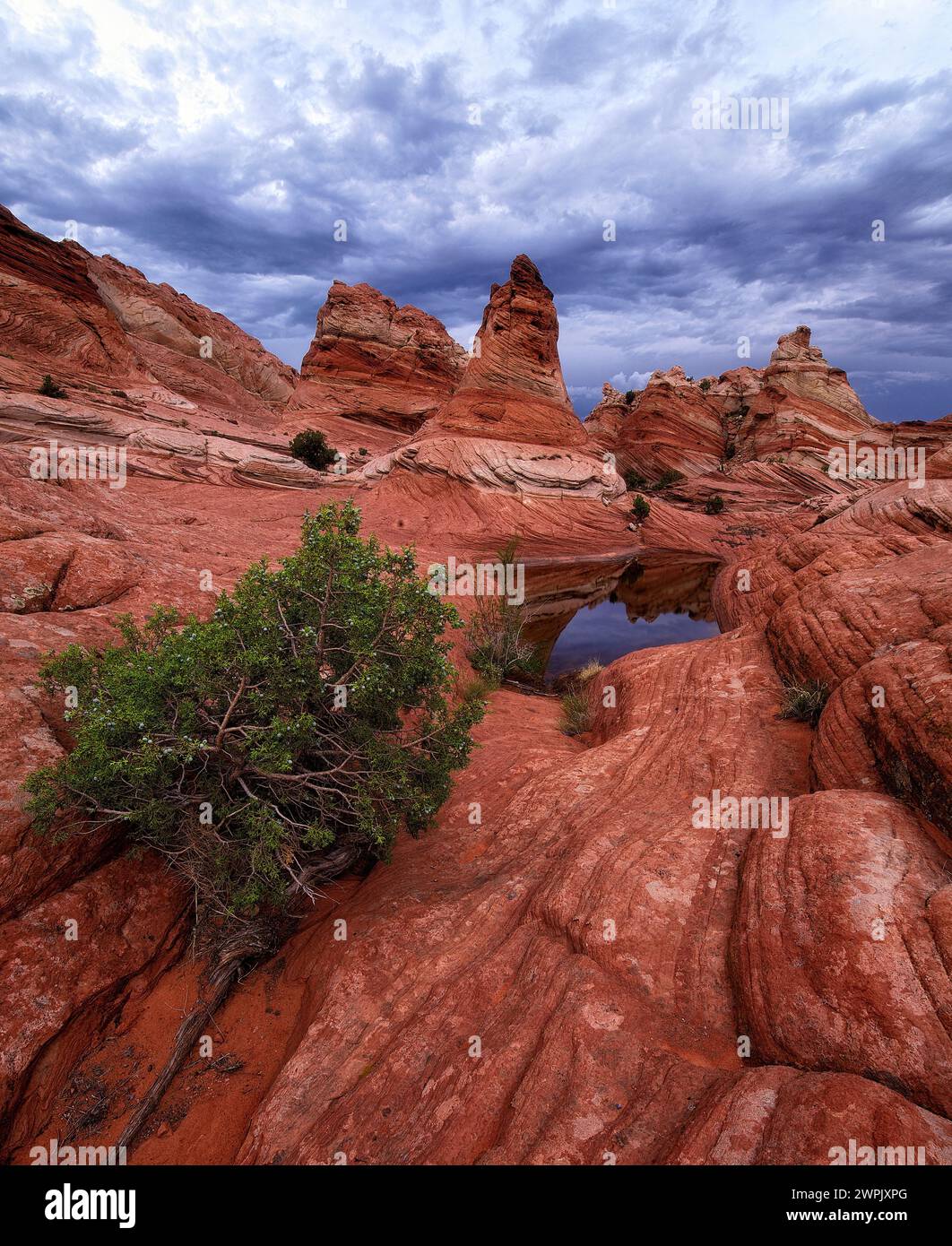 A captivating landscape of Navajo Buttes, Arizona Stock Photo - Alamy