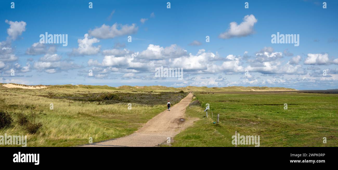 Panorama of nature reserve Amrumer Odde in north of Amrum island, North ...