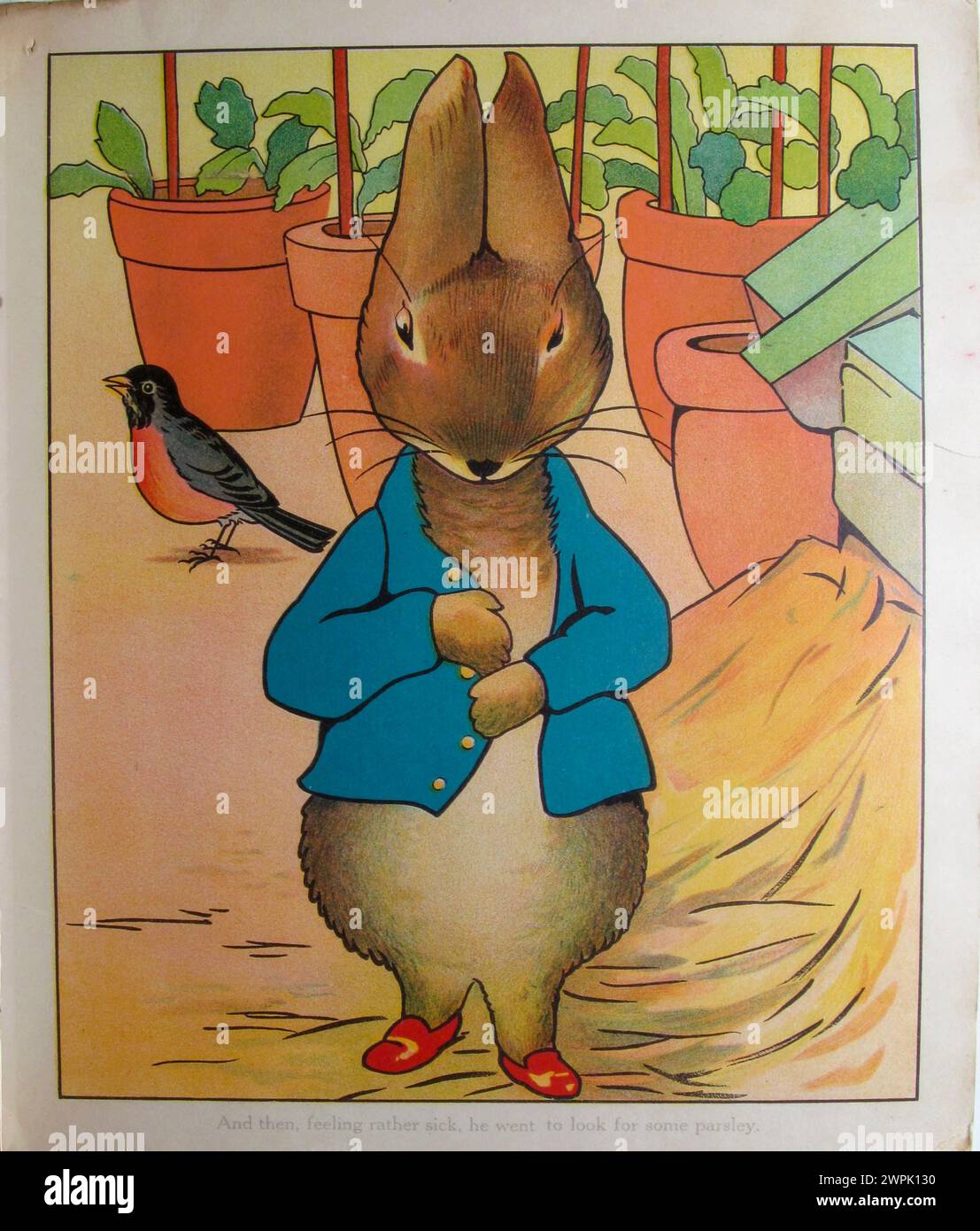Peter rabbit illustration hi-res stock photography and images - Alamy