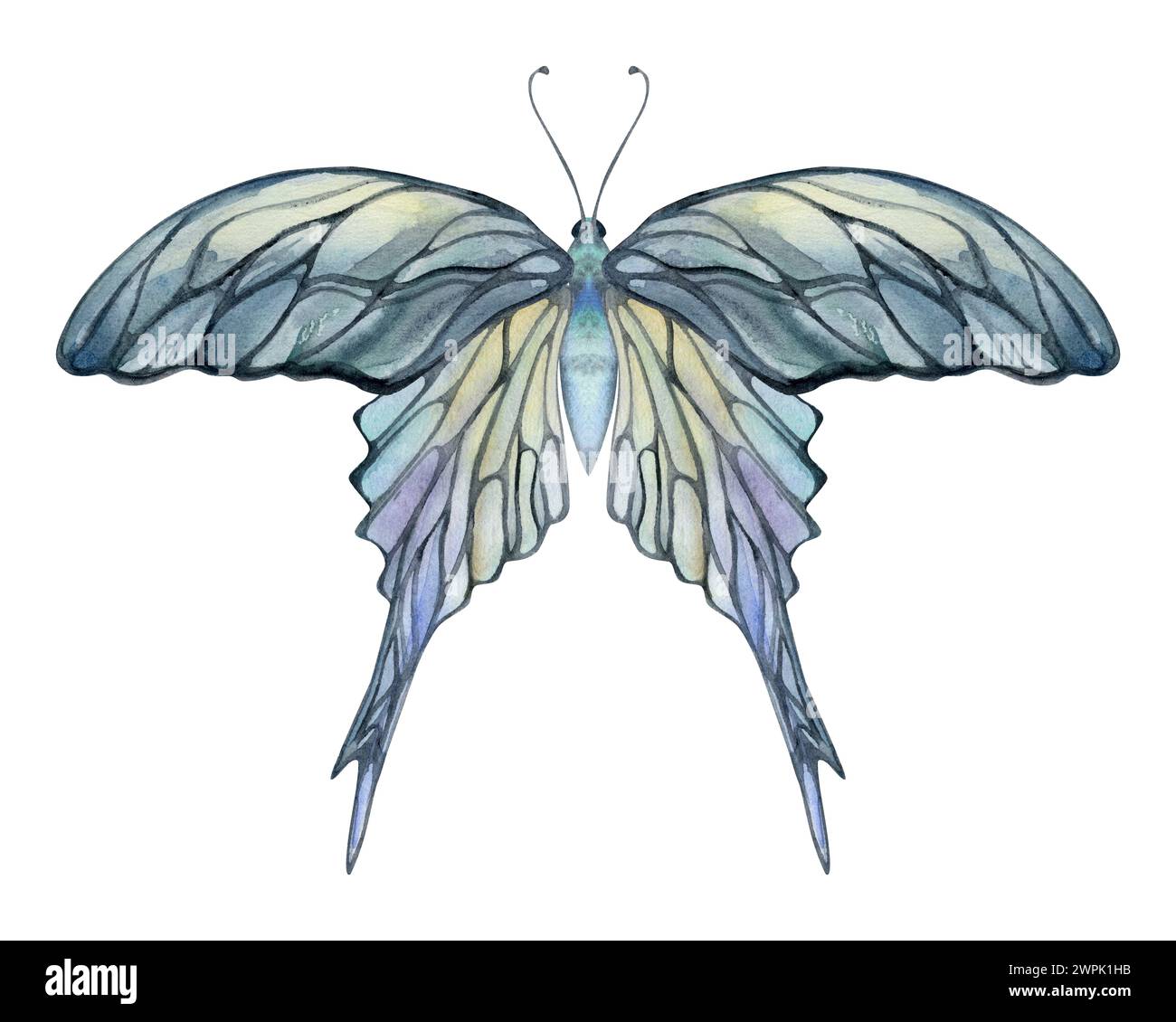 Hand drawn watercolor illustration butterfly fairy wings gem crystal ...