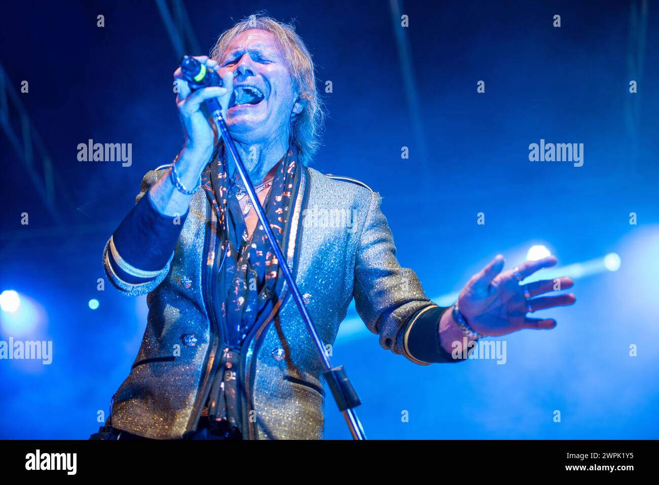 French rooster hi-res stock photography and images - Alamy