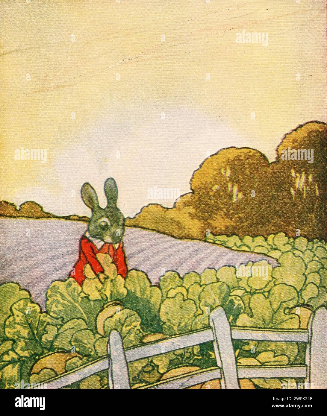 Peter rabbit illustration hi-res stock photography and images - Alamy