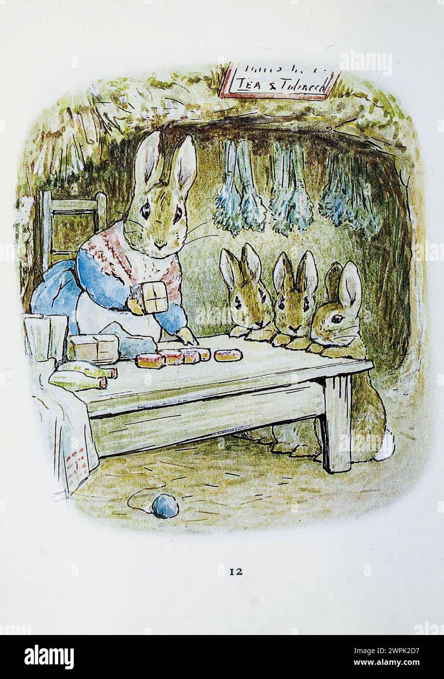 The Tale of Benjamin Bunny is a children's book written and illustrated ...