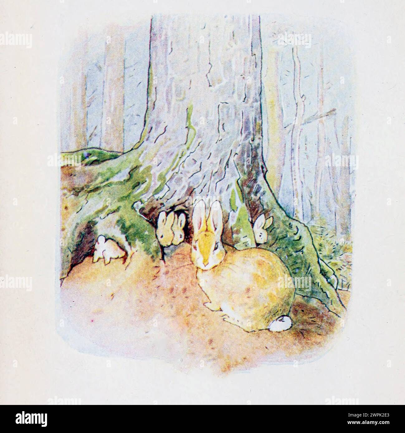 Peter rabbit garden illustration hi-res stock photography and images ...