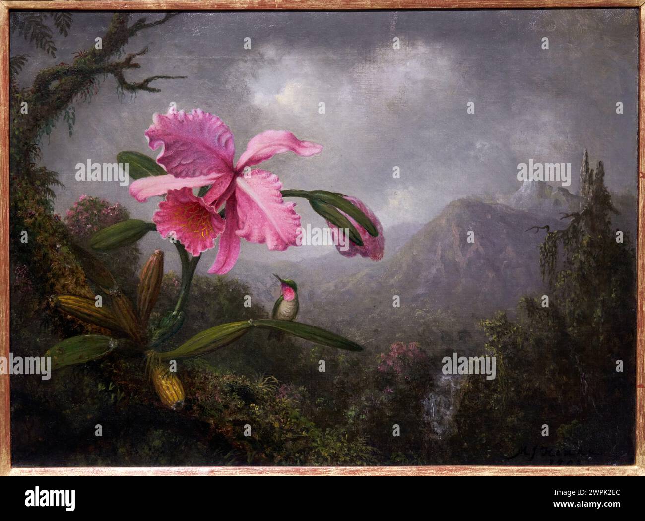 Martin Johnson Heade, (1819-1904), Orchid and Hummingbird near a ...