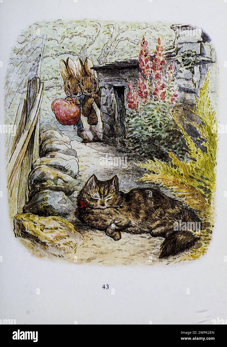 The tale of peter rabbit illustration hi-res stock photography and ...