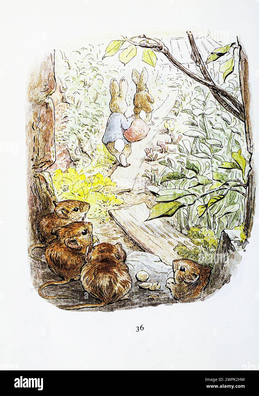 The Tale of Benjamin Bunny is a children's book written and illustrated ...