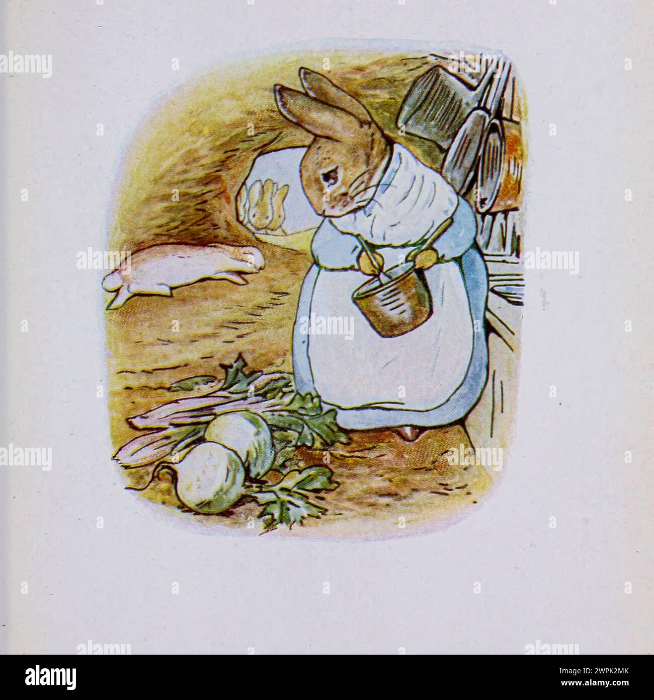 The Tale of Peter Rabbit a children's book written and illustrated by ...