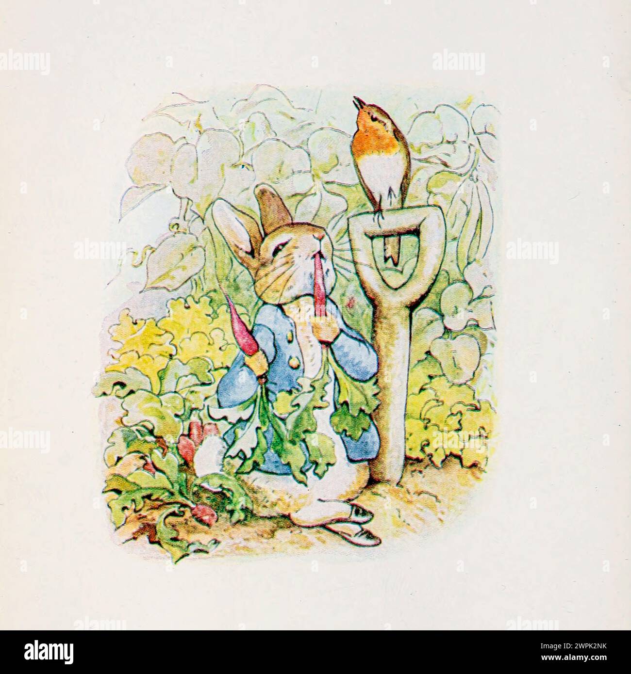 Peter rabbit garden illustration hi-res stock photography and images ...