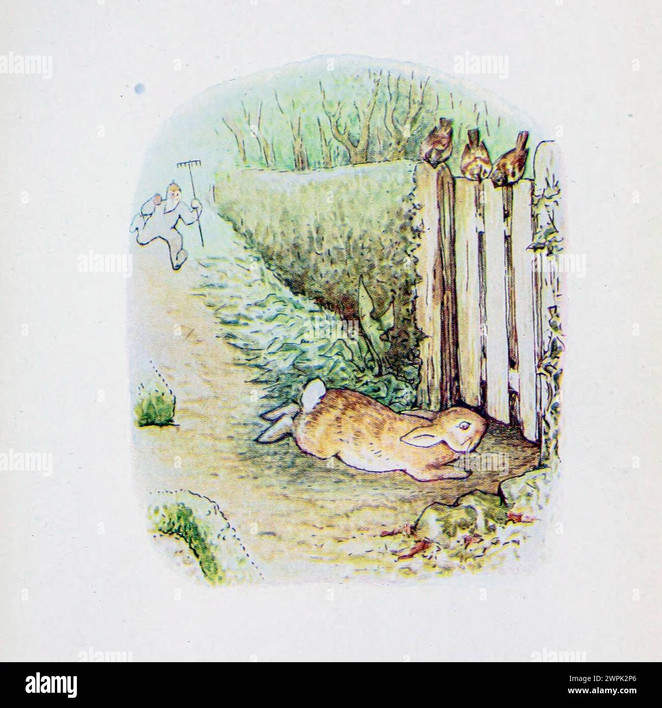 Peter rabbit garden illustration hi-res stock photography and images ...