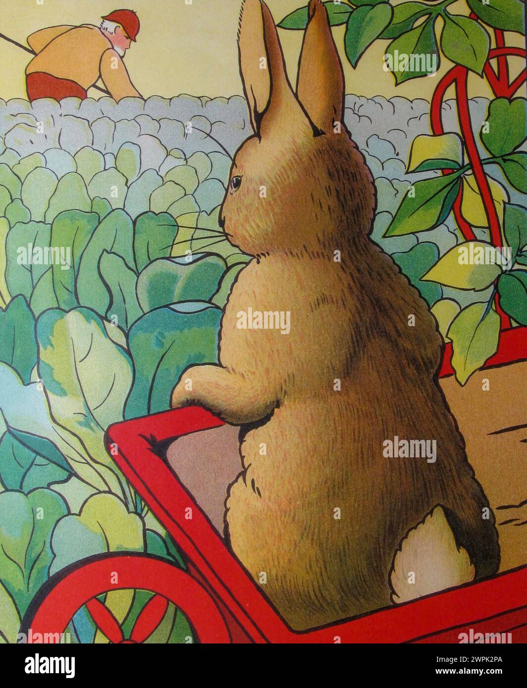 Peter rabbit drawing hi-res stock photography and images - Alamy