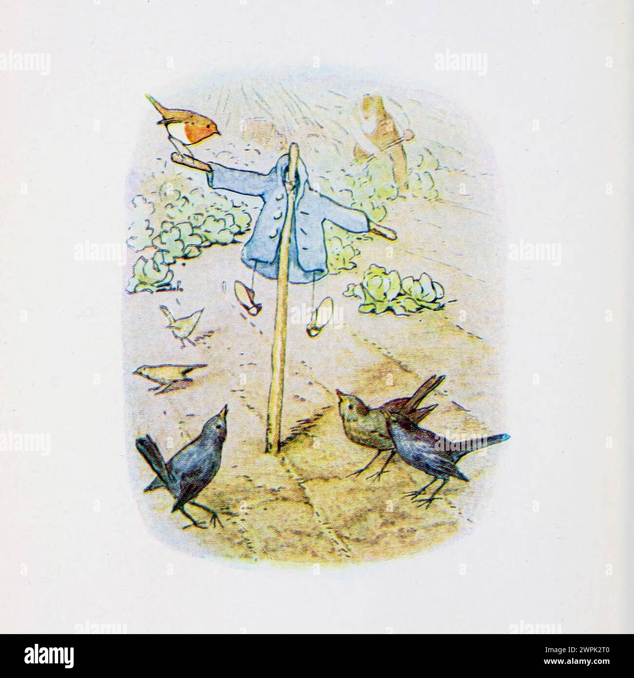 Peter rabbit drawing hi-res stock photography and images - Alamy