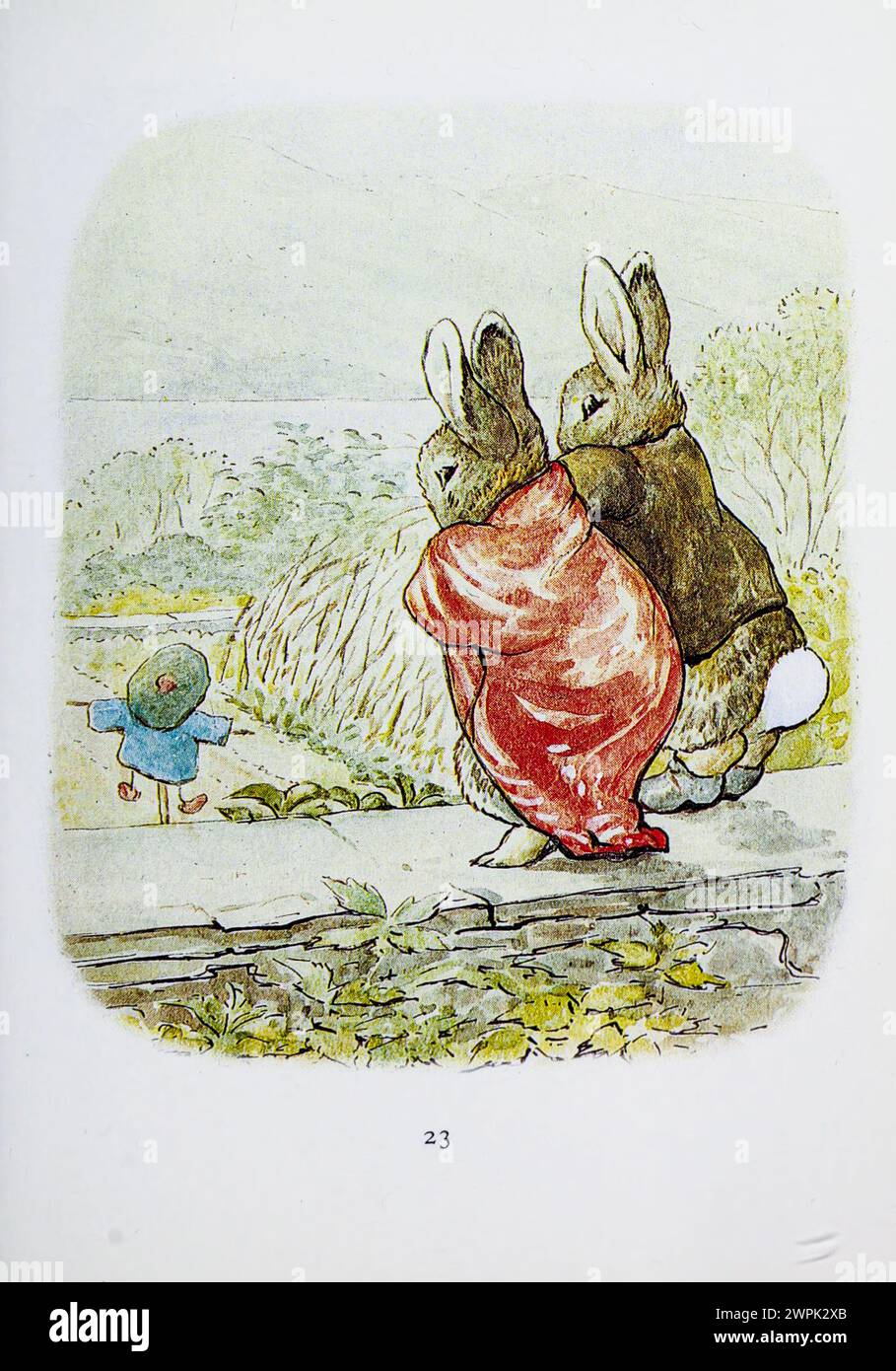 The tale of peter rabbit illustration hi-res stock photography and ...