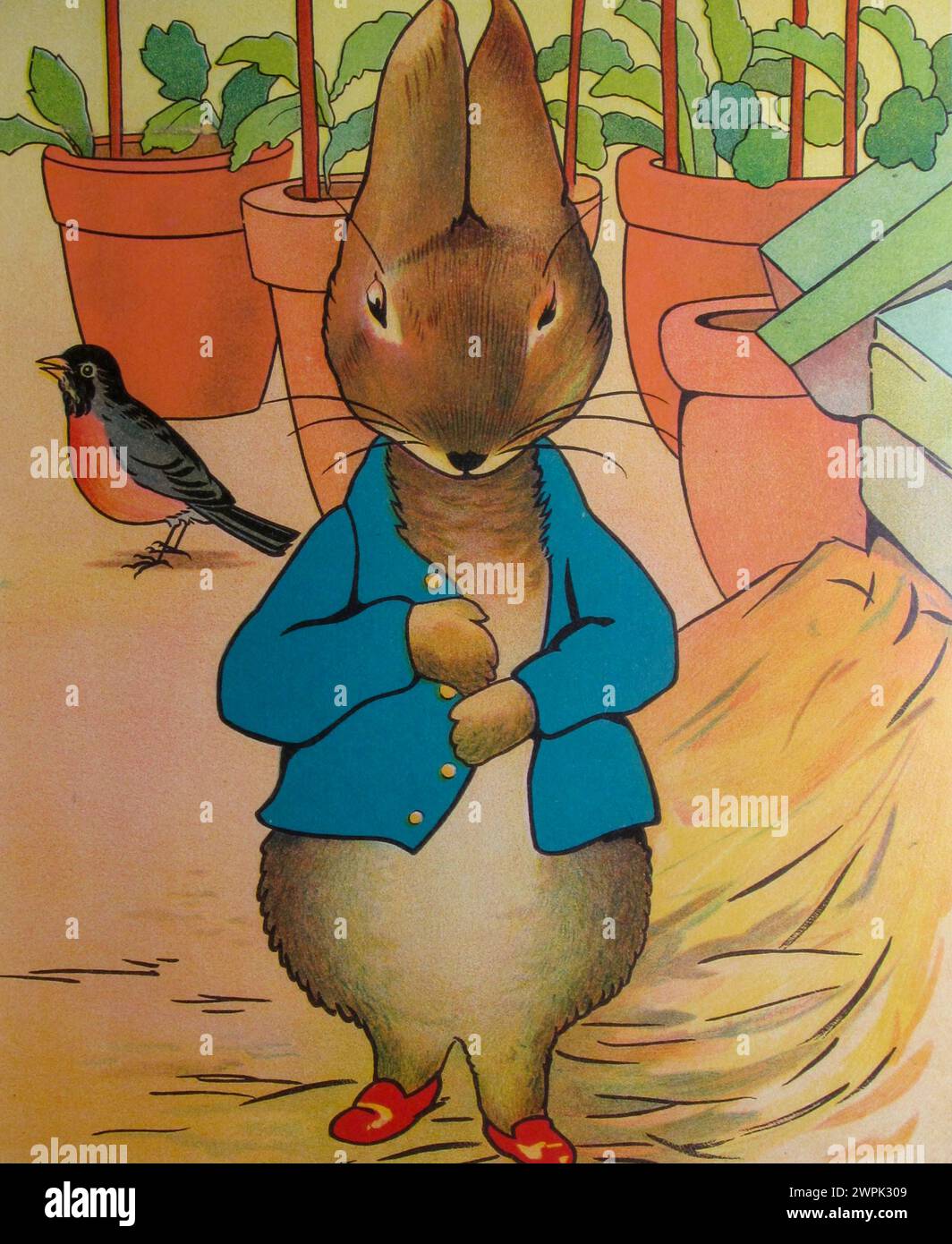 He went to look for some parsley Peter Rabbit By Beatrix Potter The ...