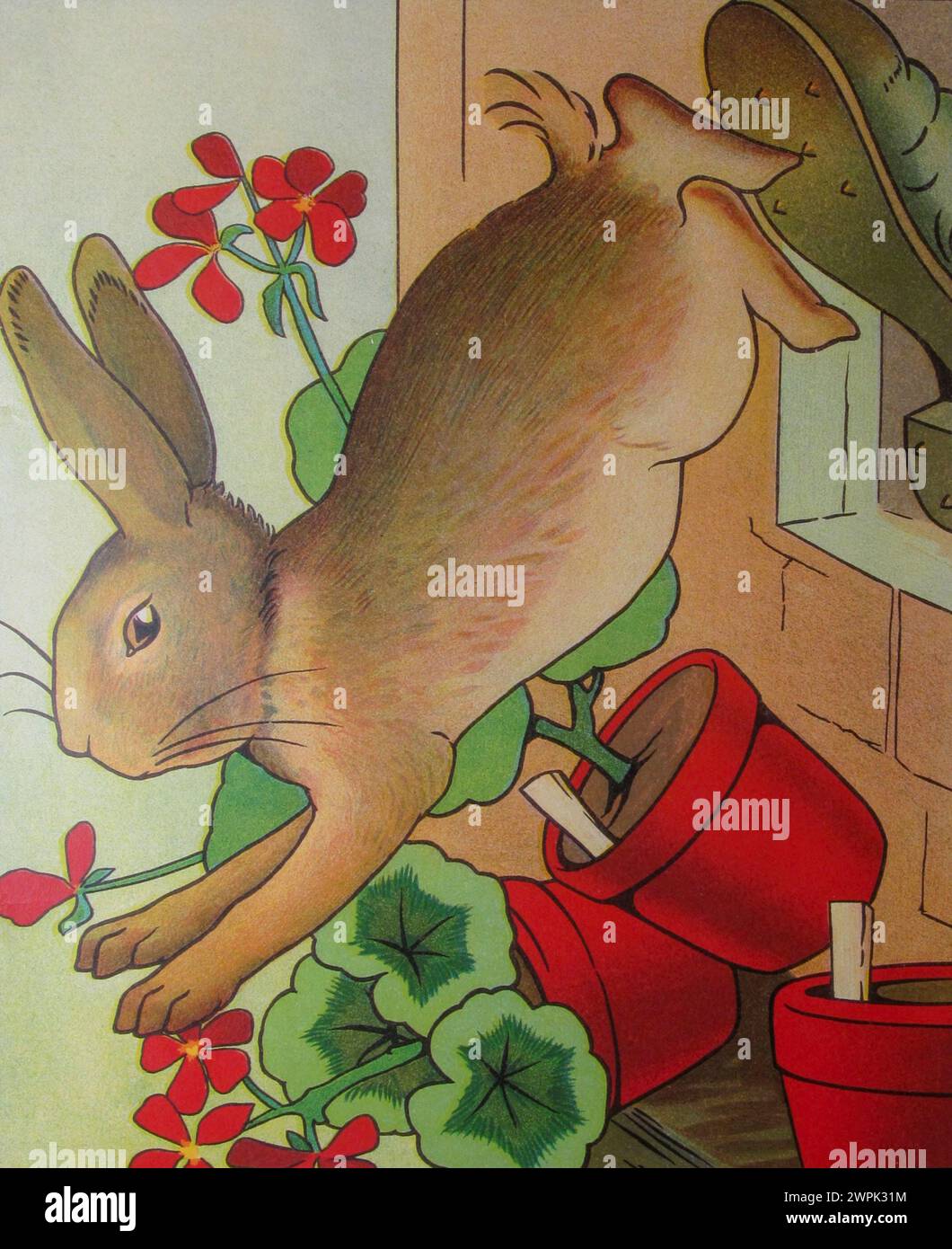 Peter rabbit drawing hi-res stock photography and images - Alamy