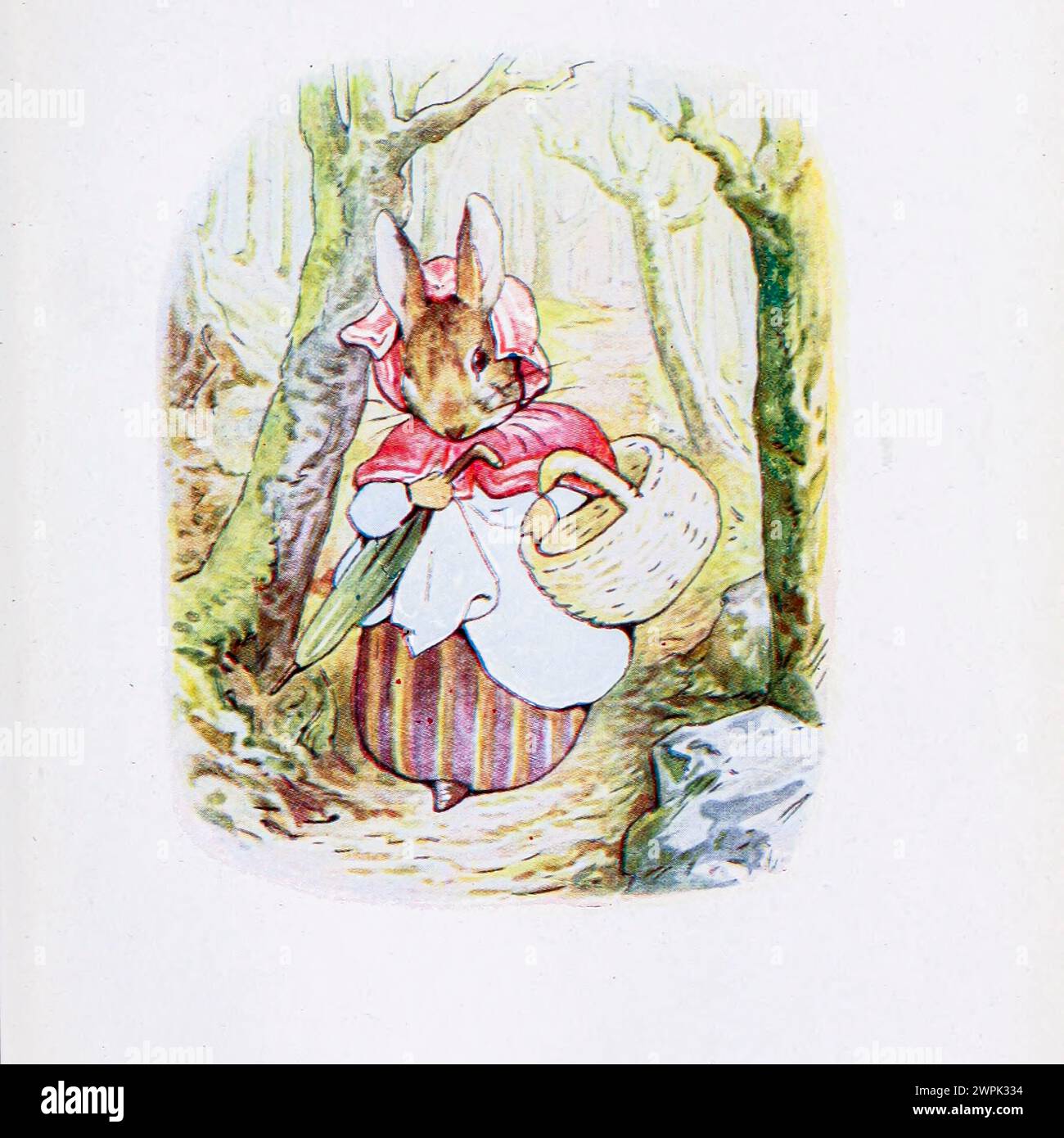 The Tale of Peter Rabbit a children's book written and illustrated by ...