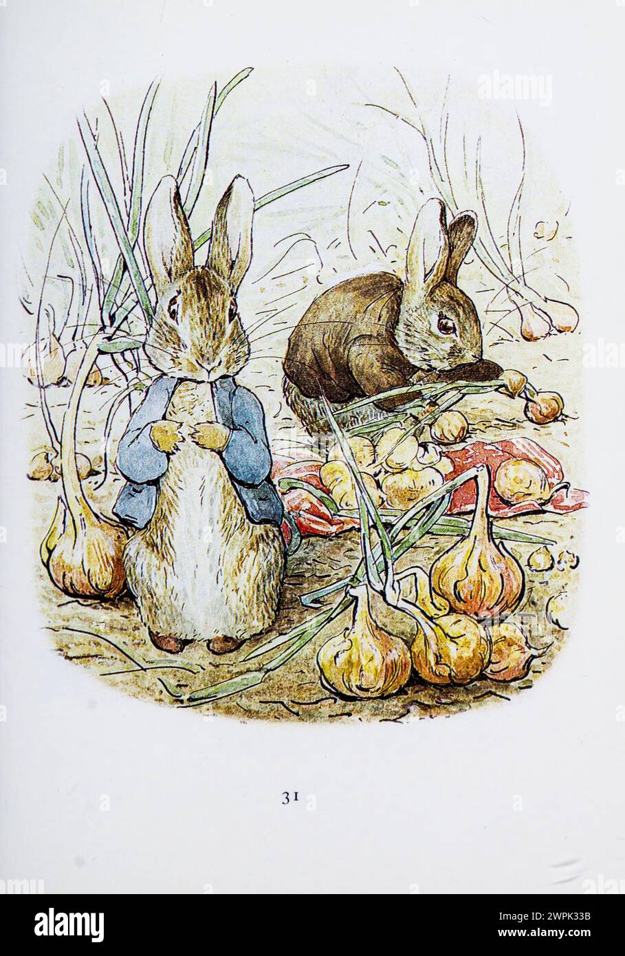 The tale of peter rabbit illustration hi-res stock photography and ...