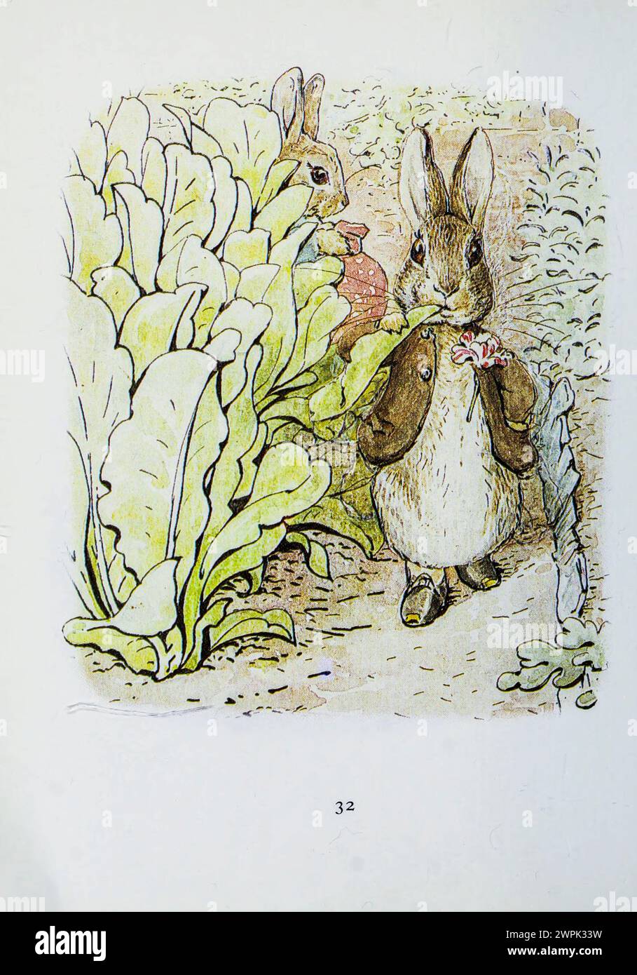 The tale of peter rabbit illustration hi-res stock photography and ...
