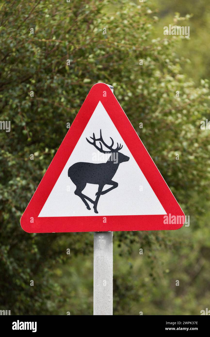 UK, Scotland, warning signs for Dear Stock Photo - Alamy
