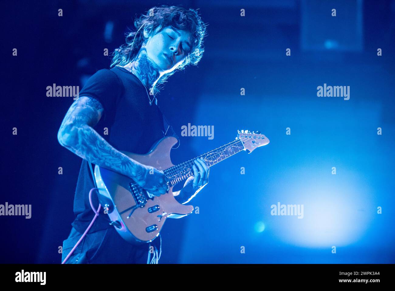 Polyphia hi-res stock photography and images - Alamy