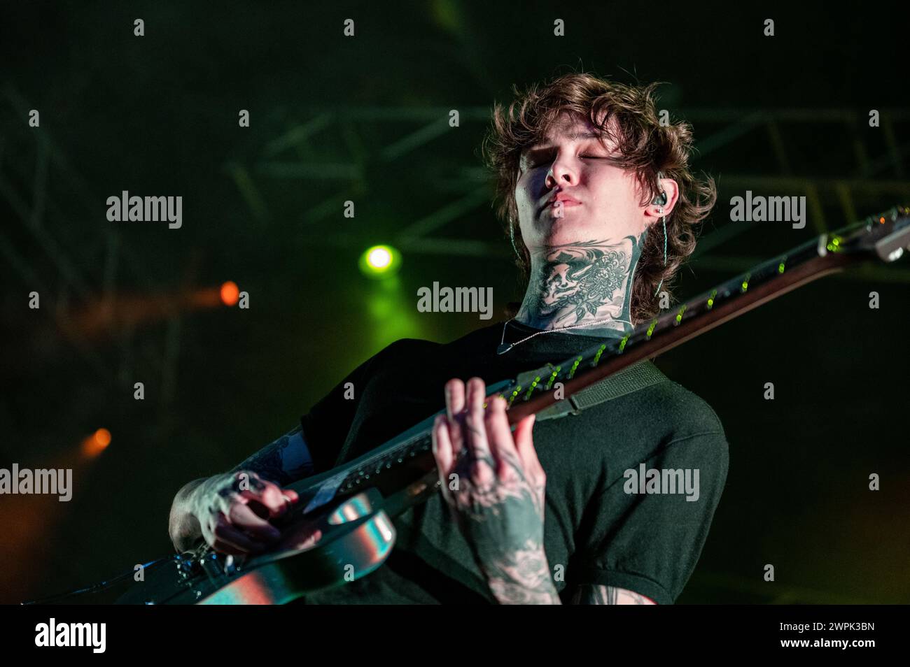 Polyphia hi-res stock photography and images - Alamy